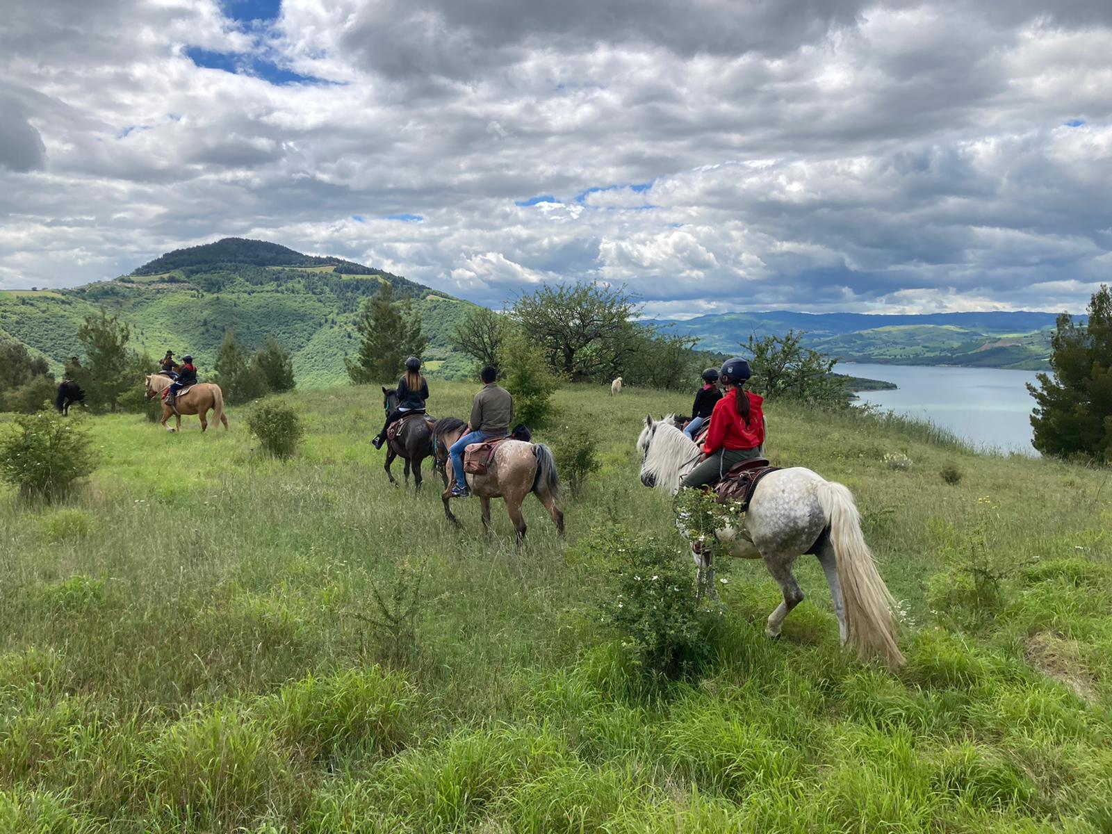 A cavallo, tra macchie verdi, antiche abbazie, piste tratturali e ...